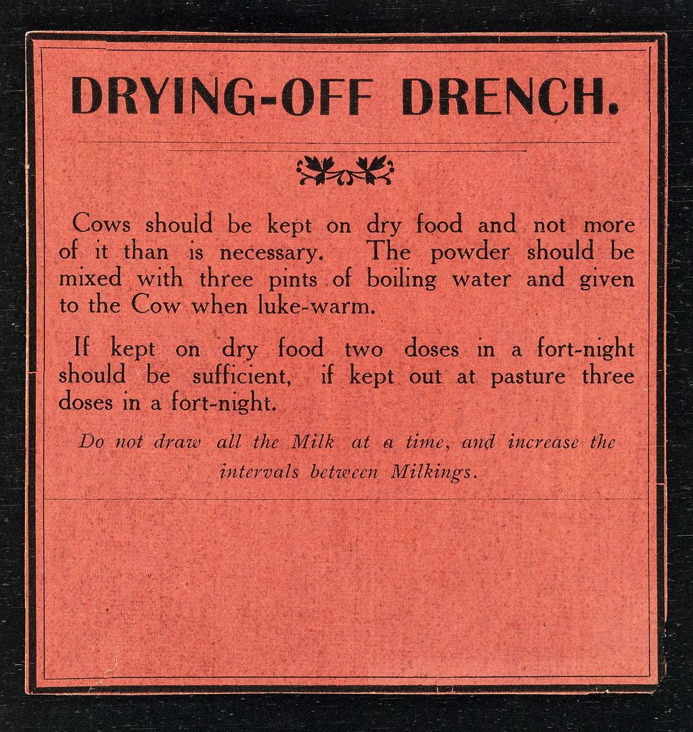 Drying-off Drench | Free Photo Illustration - rawpixel