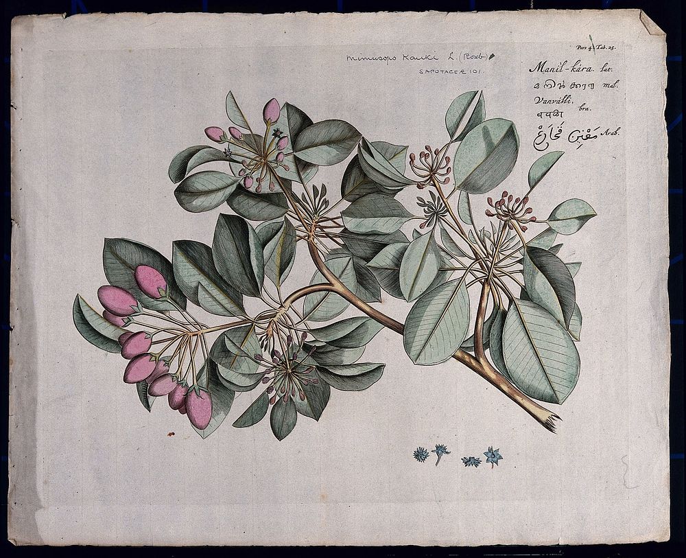 Elengi Images | Free Photos, PNG Stickers, Wallpapers & Backgrounds ...