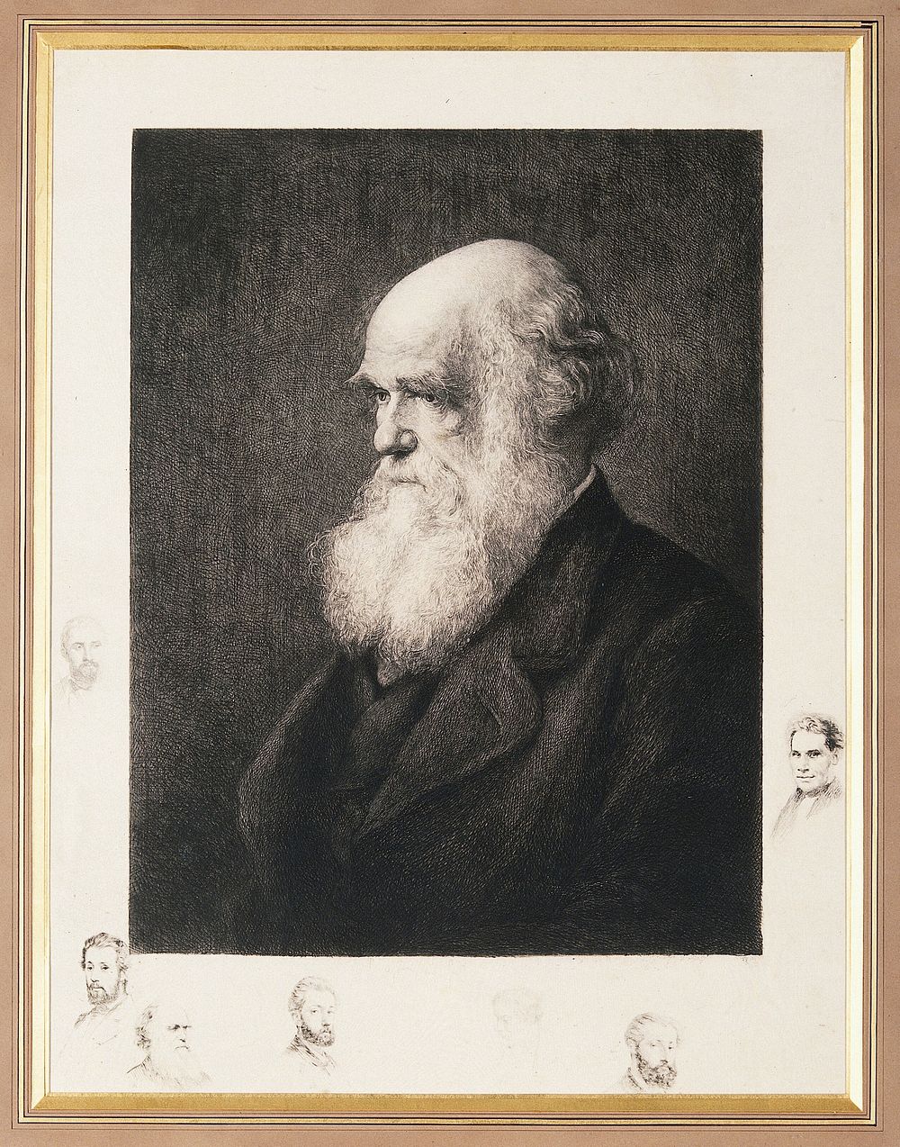 Charles Robert Darwin. Etching P.A | Free Photo Illustration - rawpixel