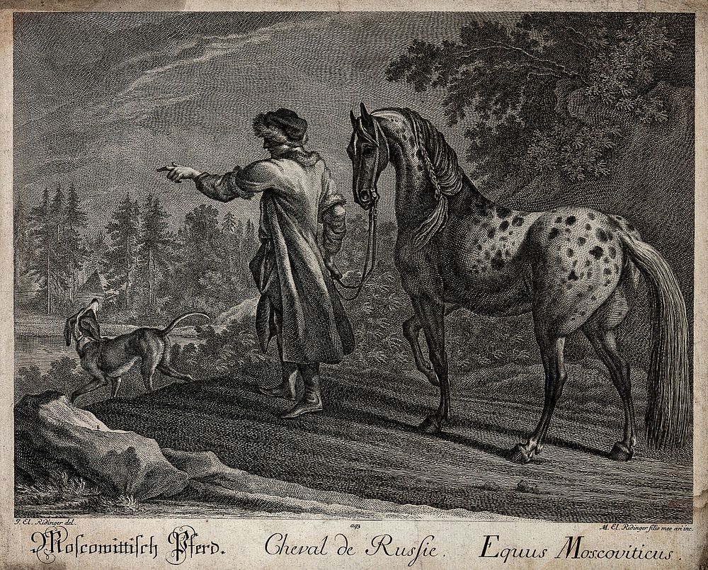 man Russian attire is leading | Free Photo Illustration - rawpixel