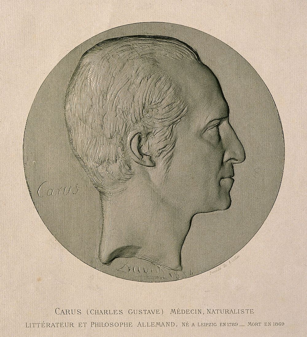 Karl Gustav Carus. Line engraving, | Free Photo Illustration - rawpixel