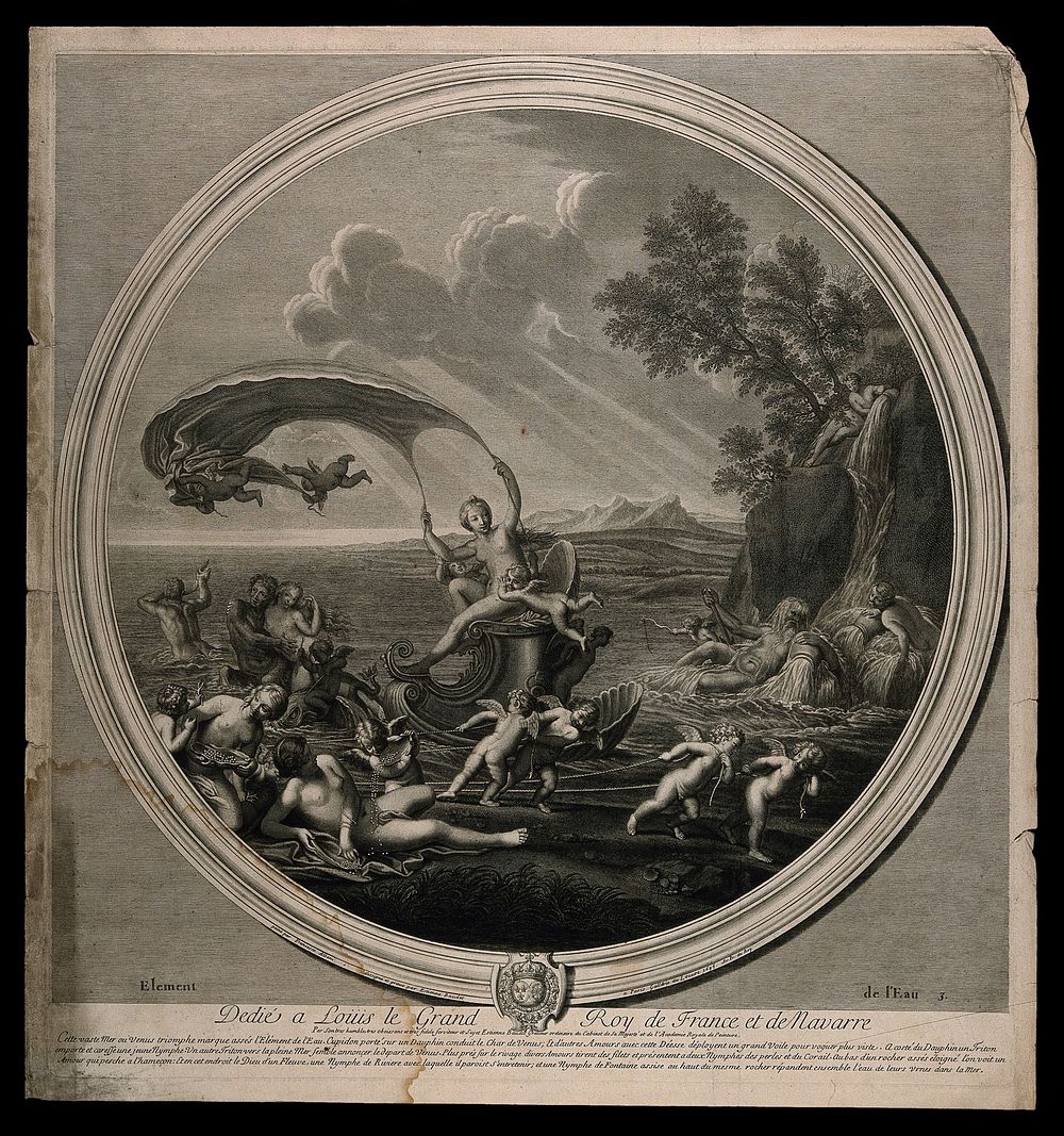 Venus riding scallop shell chariot | Free Photo Illustration - rawpixel