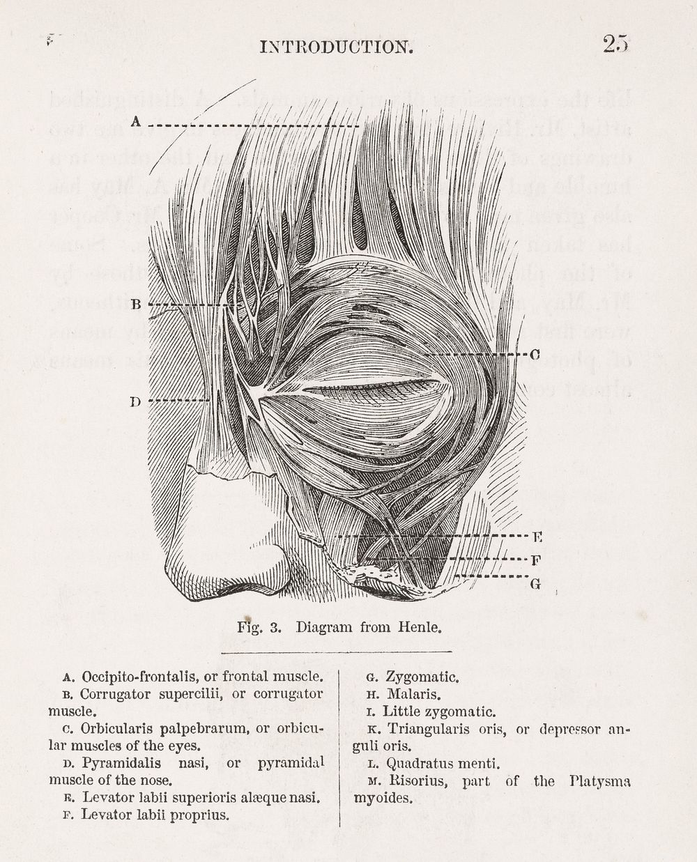 Muscles eye Darwin's Expression Emotions... | Free Photo Illustration ...