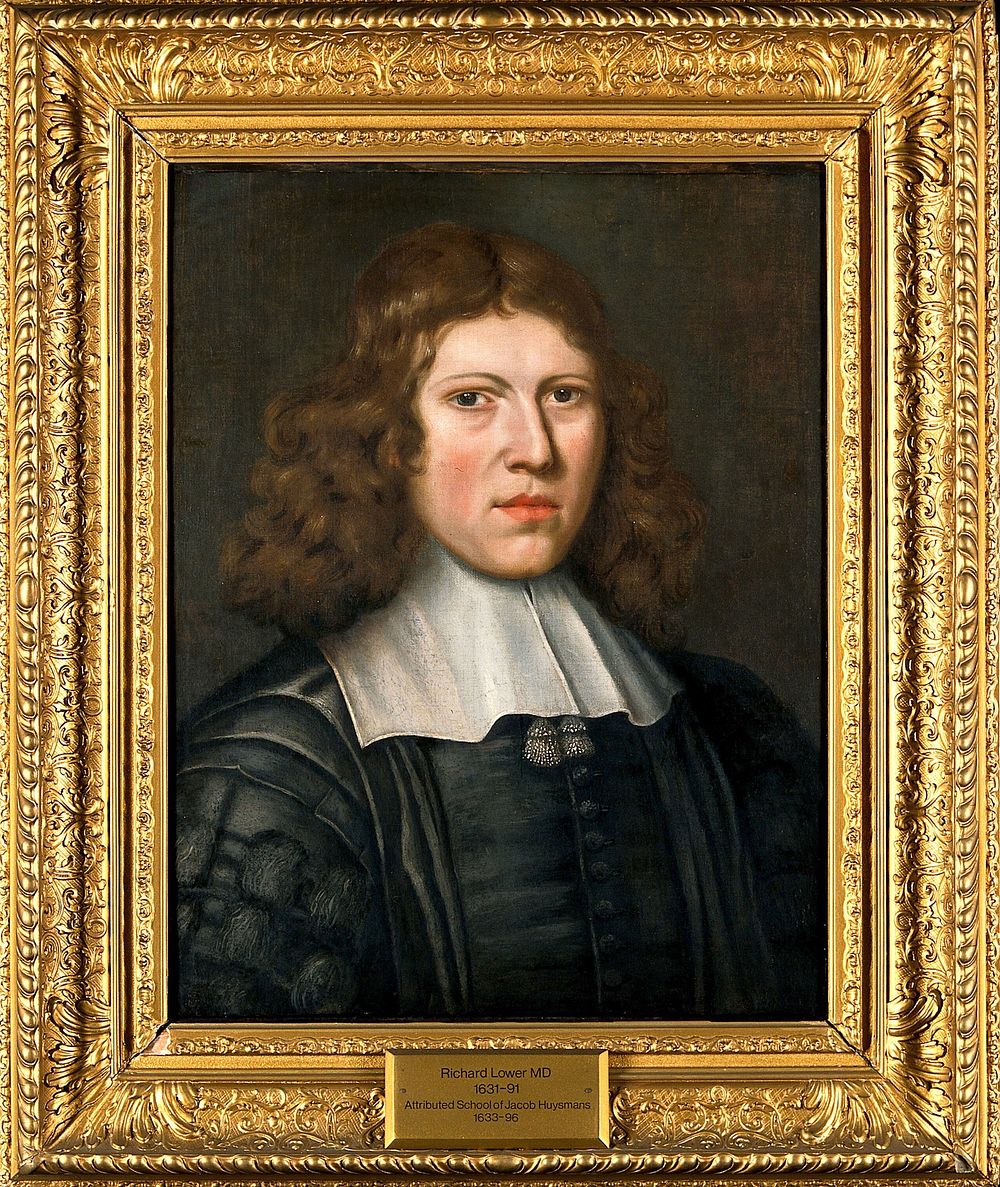 Richard Lower (1631-1691), anatomist. Oil | Free Photo Illustration ...