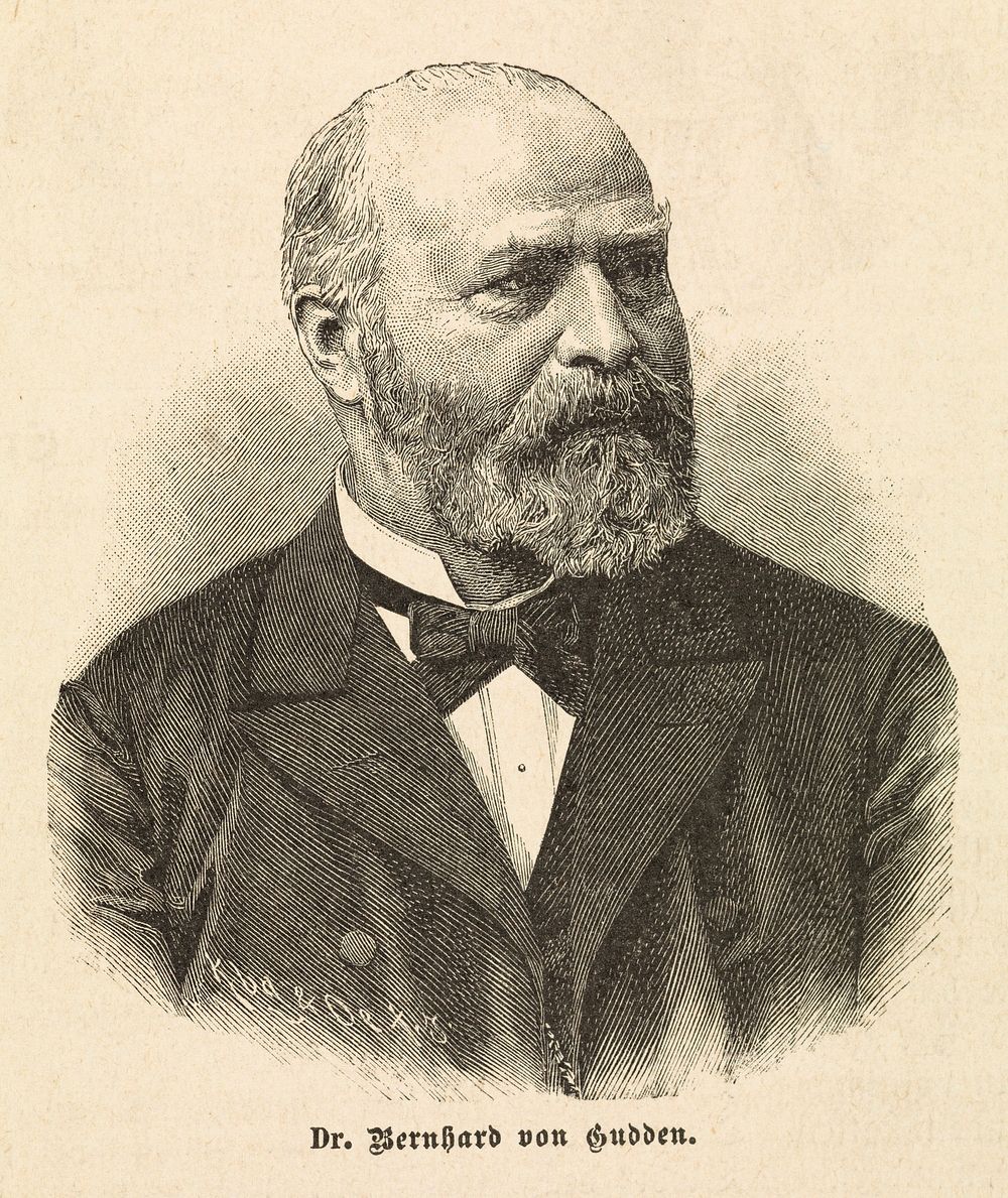 Bernhard Aloys von Gudden. Wood | Free Photo Illustration - rawpixel