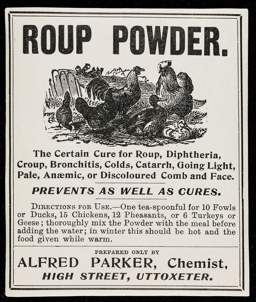Roup powder : certain cure | Free Photo Illustration - rawpixel