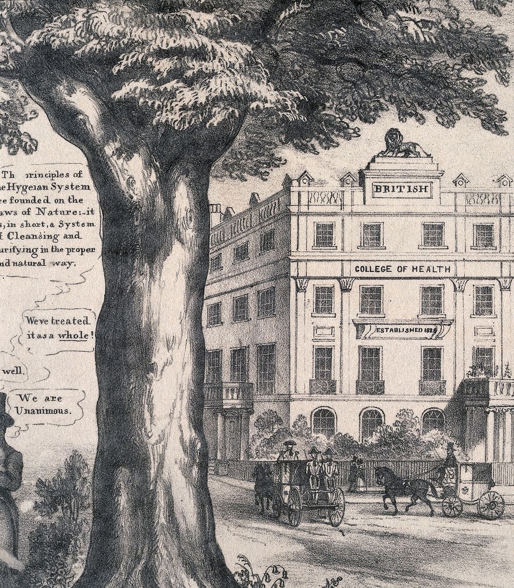 Two trees being cultivated doctors; | Free Photo Illustration - rawpixel