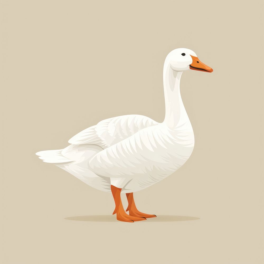 Goose animal cartoon bird. | Premium Photo Illustration - rawpixel