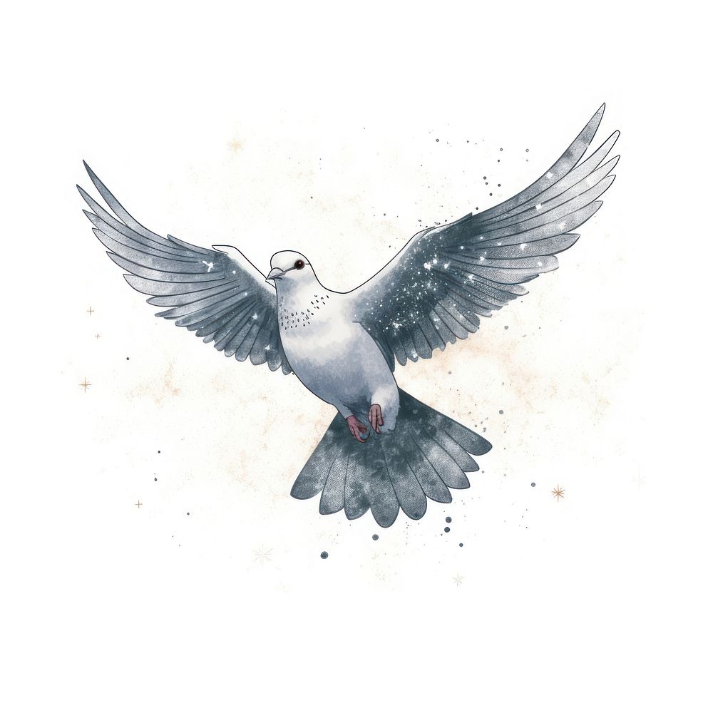 Pigeon animal bird creativity. | Premium Photo Illustration - rawpixel