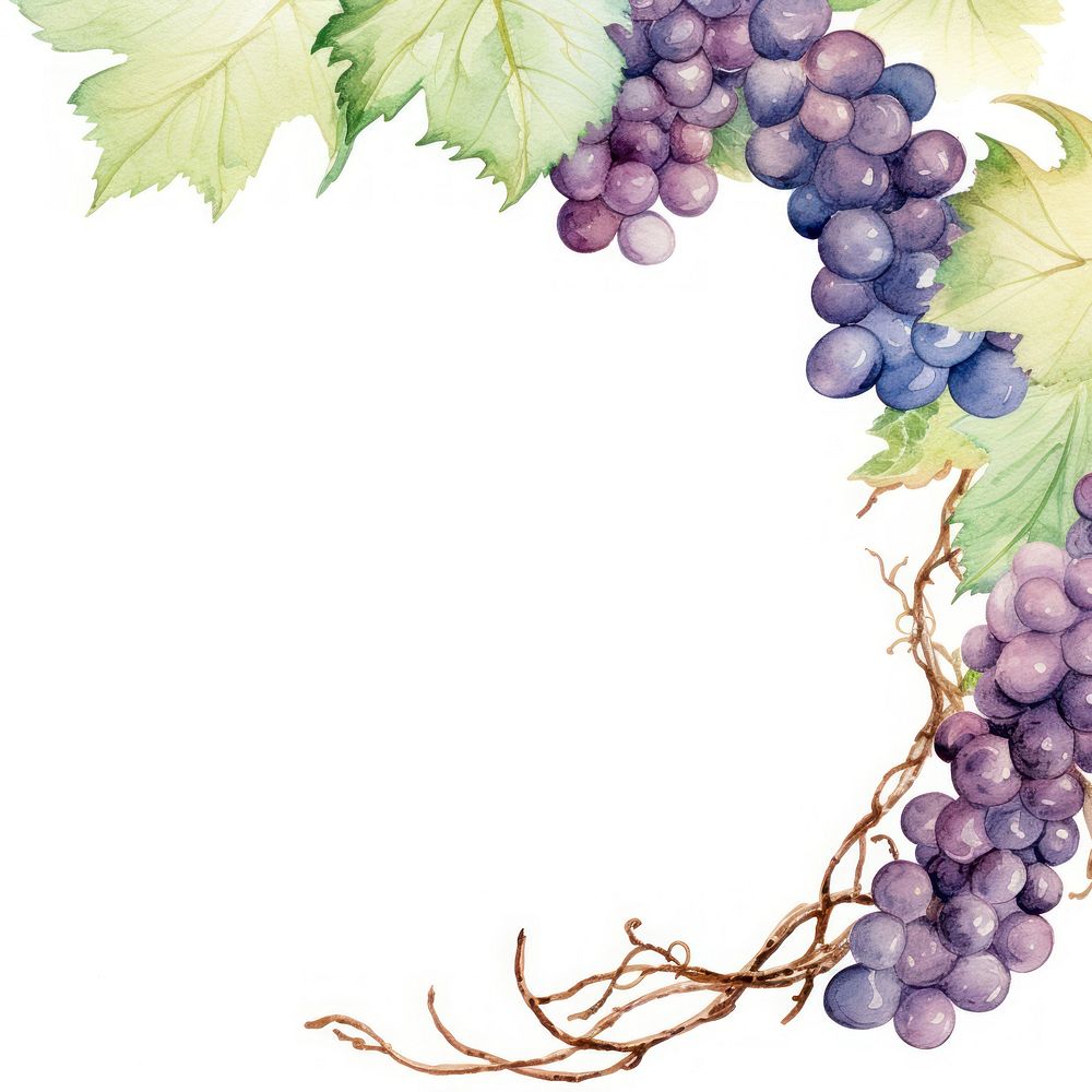 Grape vines frame watercolor grapes | Free Photo Illustration - rawpixel