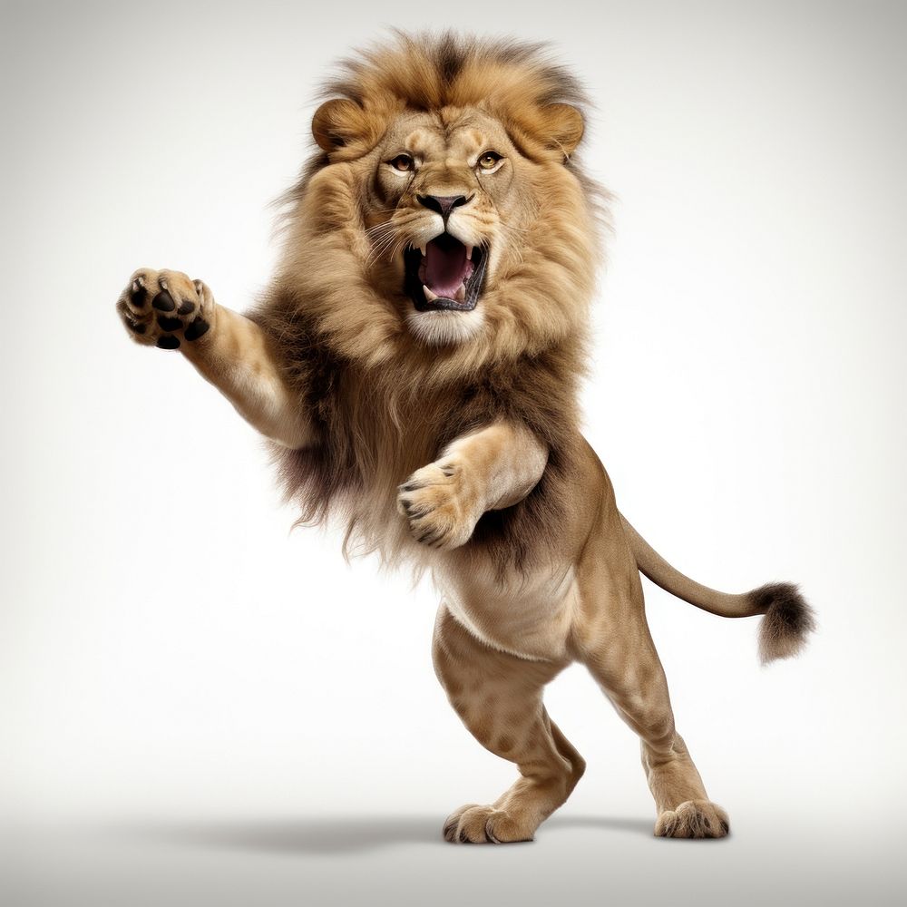 Happy smiling dancing lion mammal | Free Photo - rawpixel