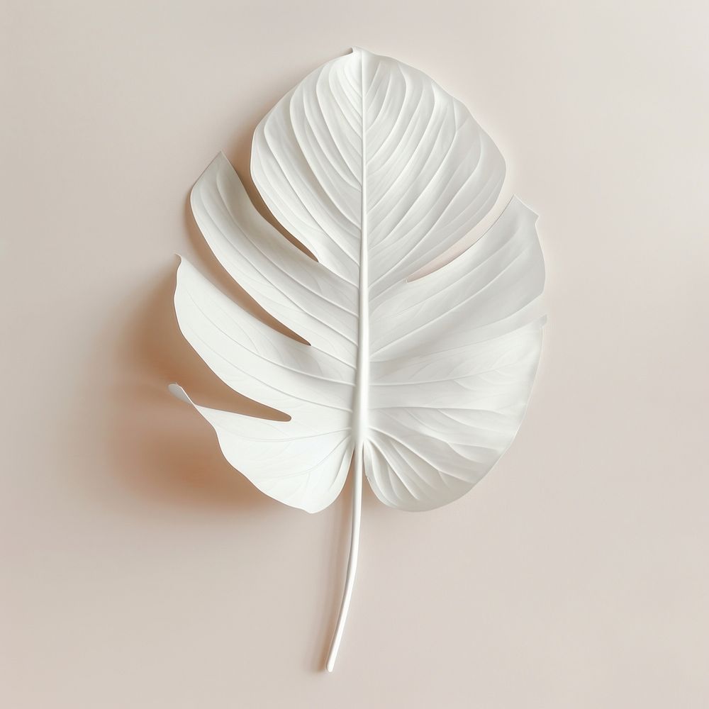 Tropical leave plant white leaf. | Premium Photo - rawpixel