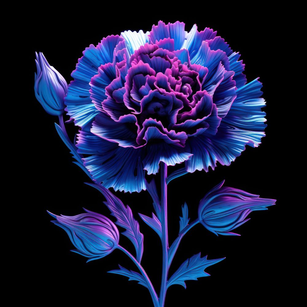 Neon Carnation carnation pattern purple. | Free Photo Illustration ...