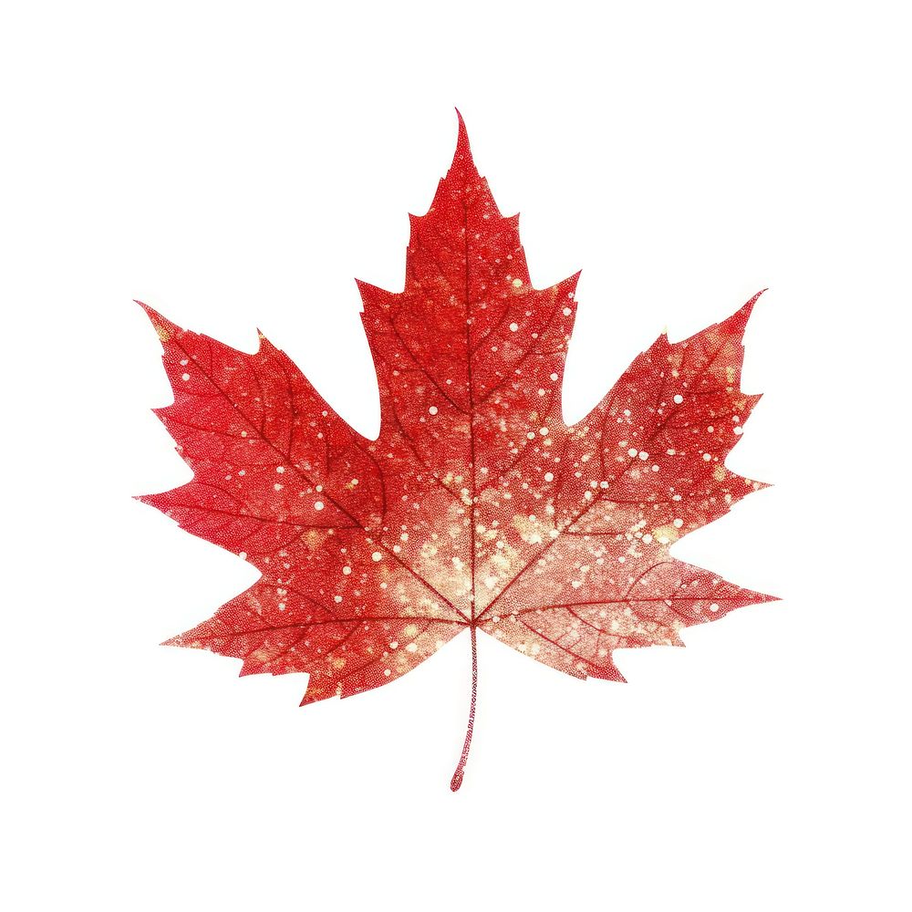 Red maple leaf icon plant | Free Photo Illustration - rawpixel