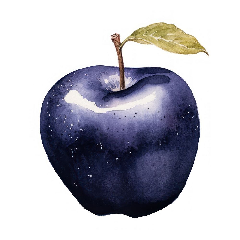 Indigo apple fruit plant food. | Premium Photo Illustration - rawpixel