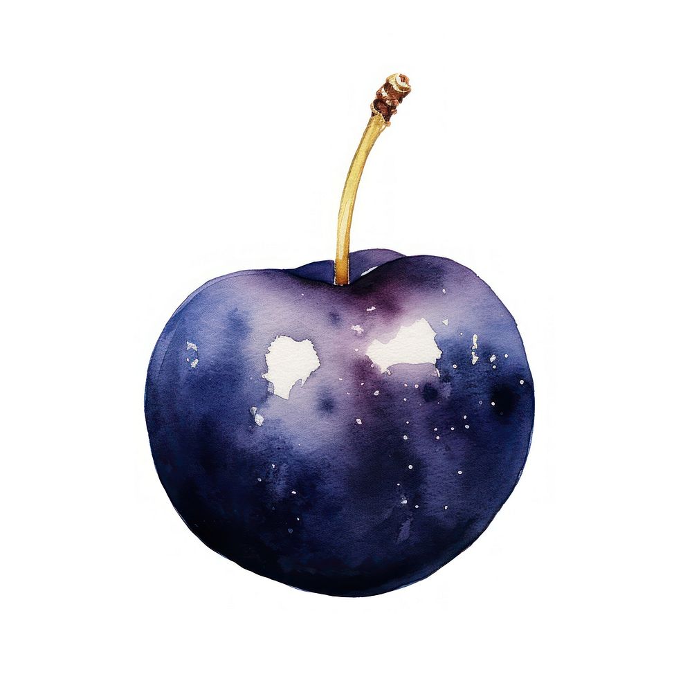 Indigo cherry fruit plant food. | Premium Photo Illustration - rawpixel