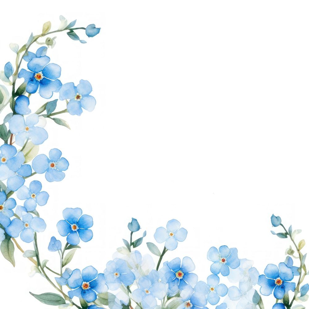Forget me not border pattern | Free Photo Illustration - rawpixel