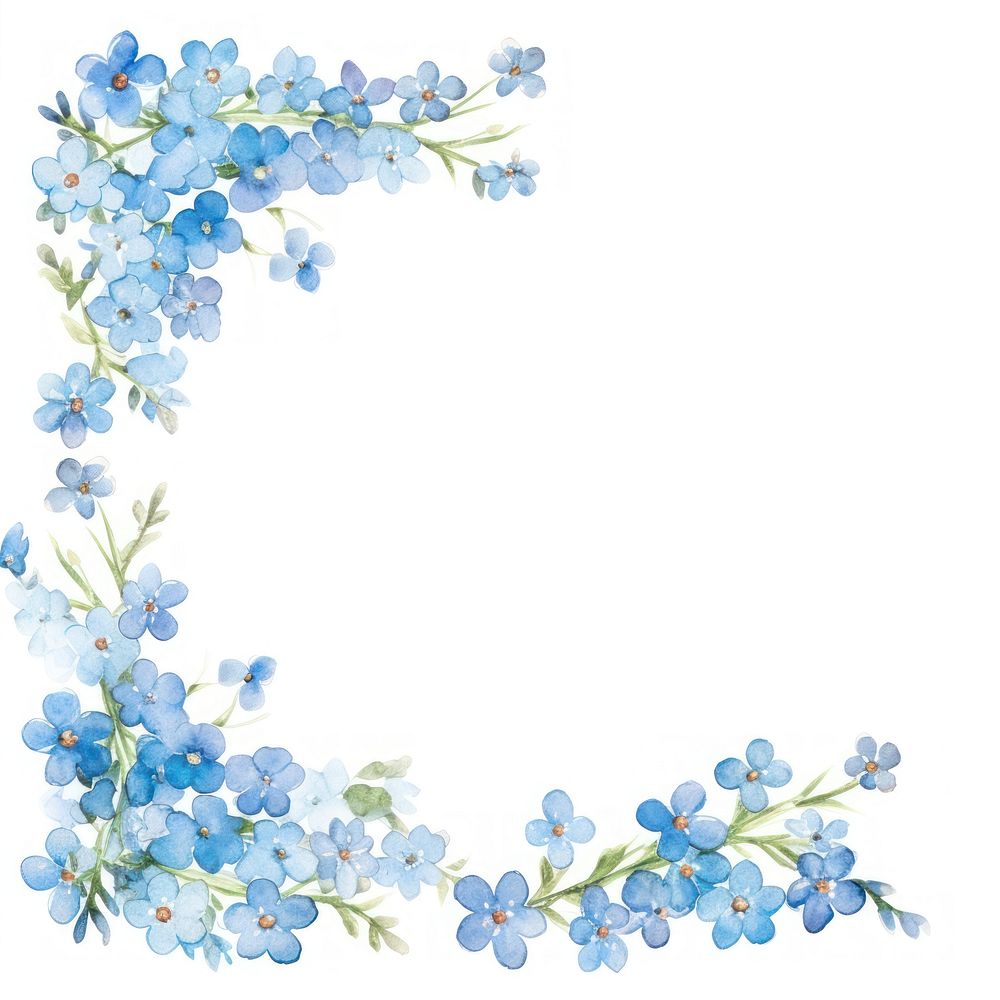 Forget me not border pattern | Premium Photo Illustration - rawpixel