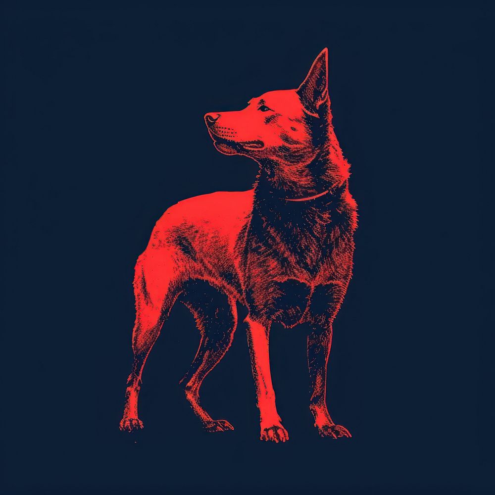 Red dog animal mammal nature. | Premium Photo Illustration - rawpixel