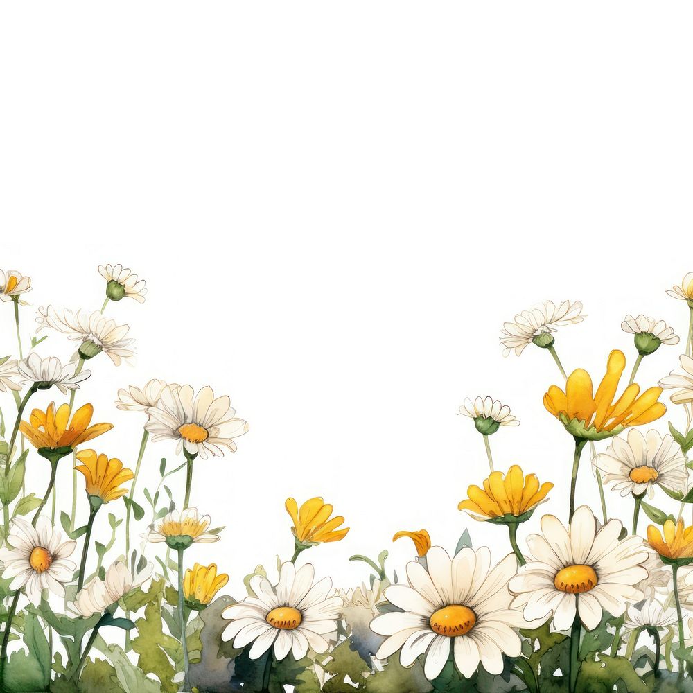 Daisy border backgrounds outdoors flower. | Premium Photo Illustration ...