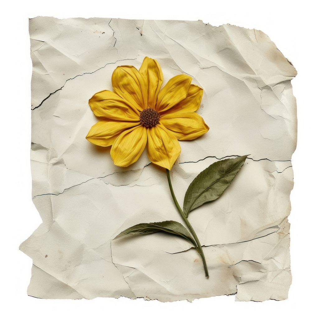 Illustration ripped paper flower sunflower | Free Photo - rawpixel