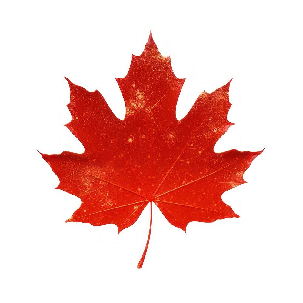 PNG Red maple leaf icon | Premium Photo Illustration - rawpixel