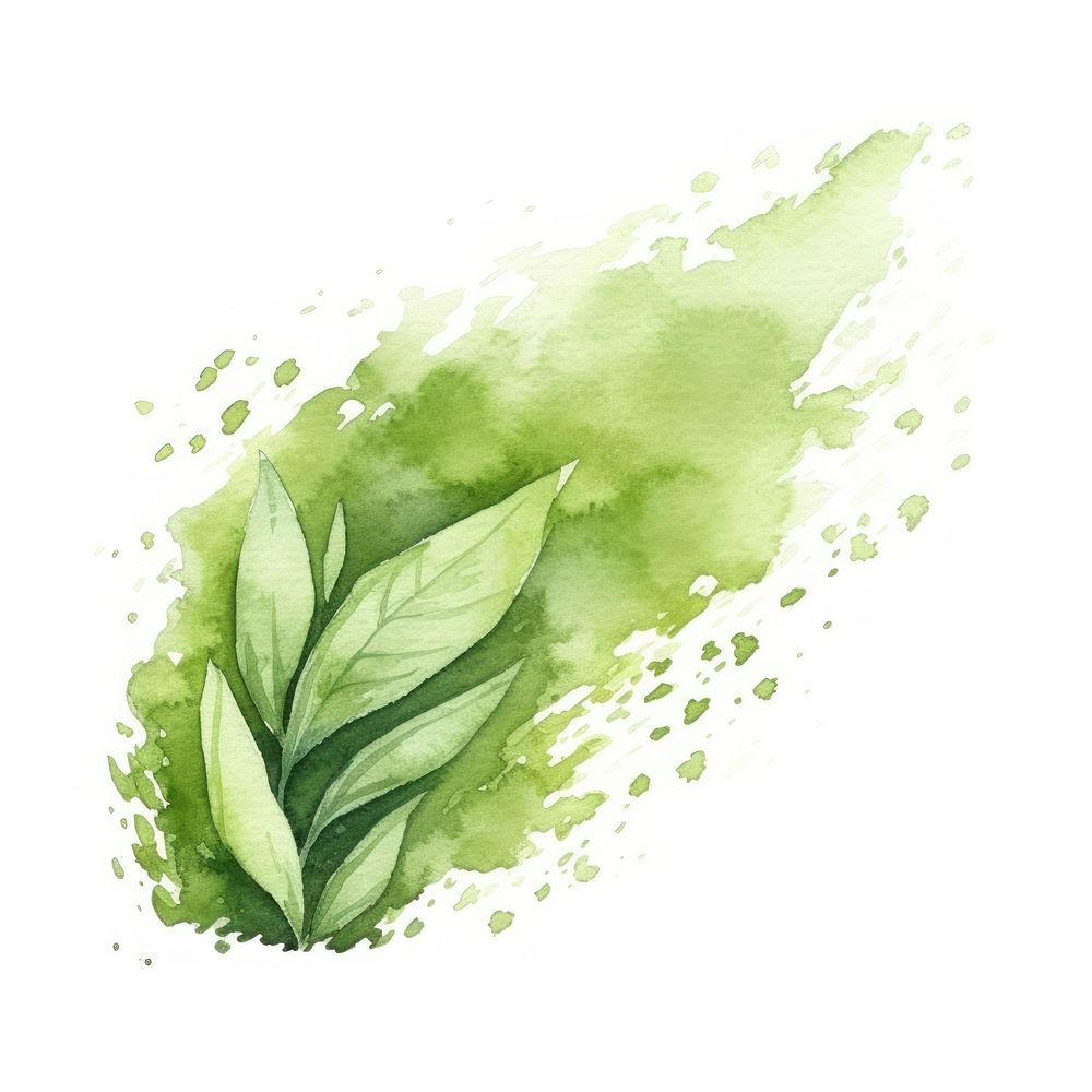 Matcha border watercolor plant green | Free Photo Illustration - rawpixel