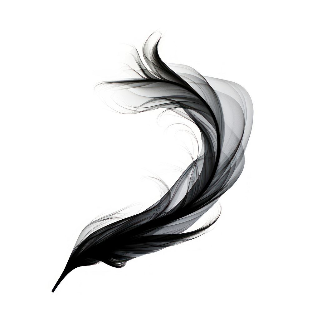 Abstract smoke feather graphics drawing | Free Photo Illustration ...