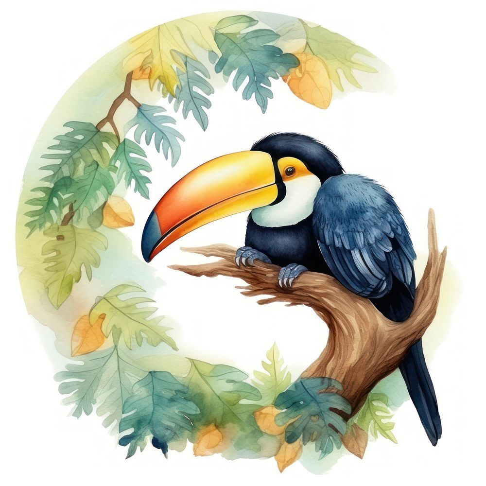 Watercolor toucan sleeping animal cartoon | Premium Photo Illustration ...