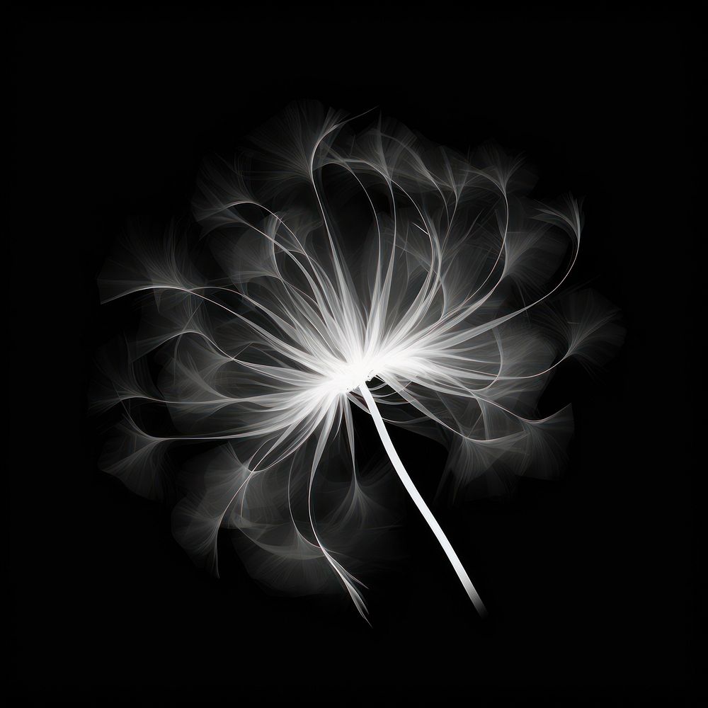 Abstract smoke dandelion flower white | Premium Photo Illustration ...