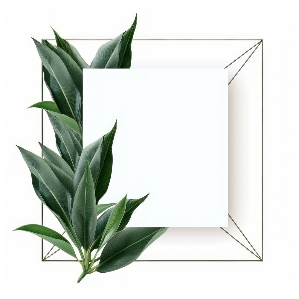 Green plant frame leaf art. | Free Photo Illustration - rawpixel
