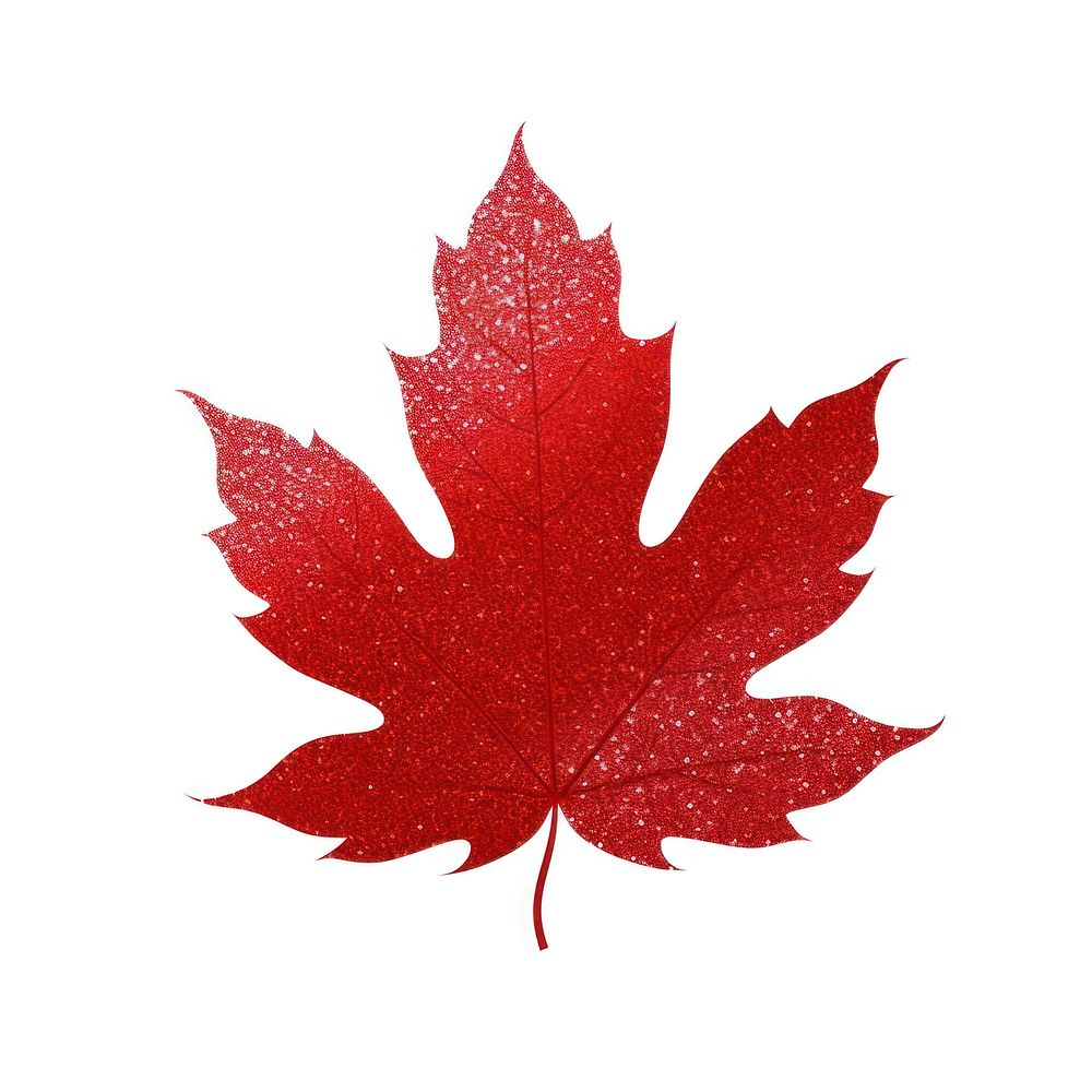 Red color maple leaf icon | Premium Photo Illustration - rawpixel