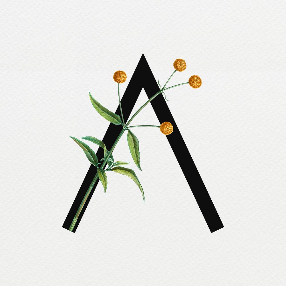 Floral circumflex sign digital art | Free Photo Illustration - rawpixel