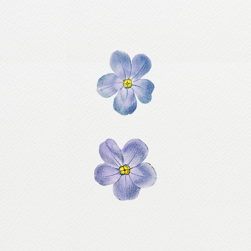 Vintage blue flower digital art | Free Photo Illustration - rawpixel