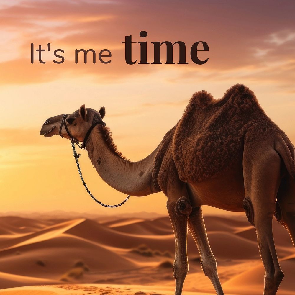 It's me time quote Instagram | Premium Photo - rawpixel