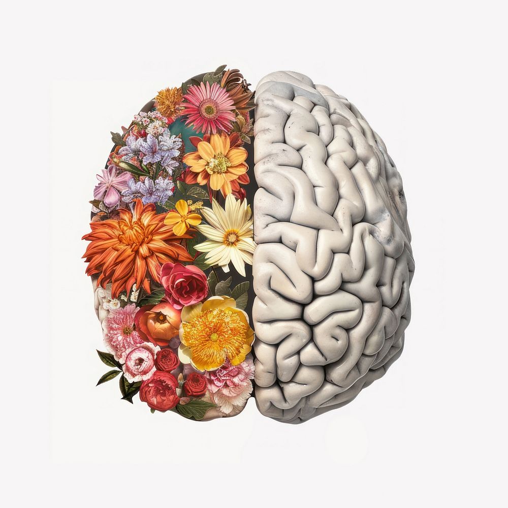 Flower nature plant brain. | Premium Photo Illustration - rawpixel