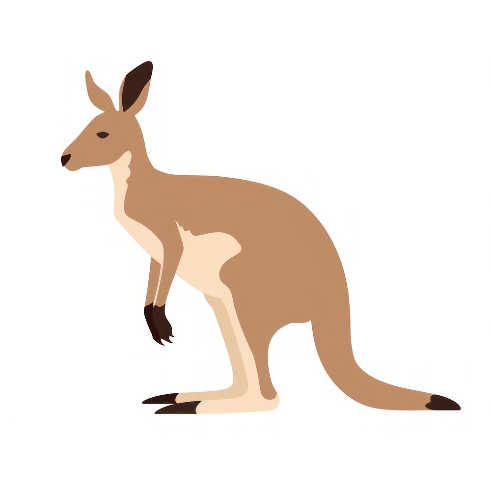 Flat design kangaroo wallaby animal | Premium Photo Illustration - rawpixel