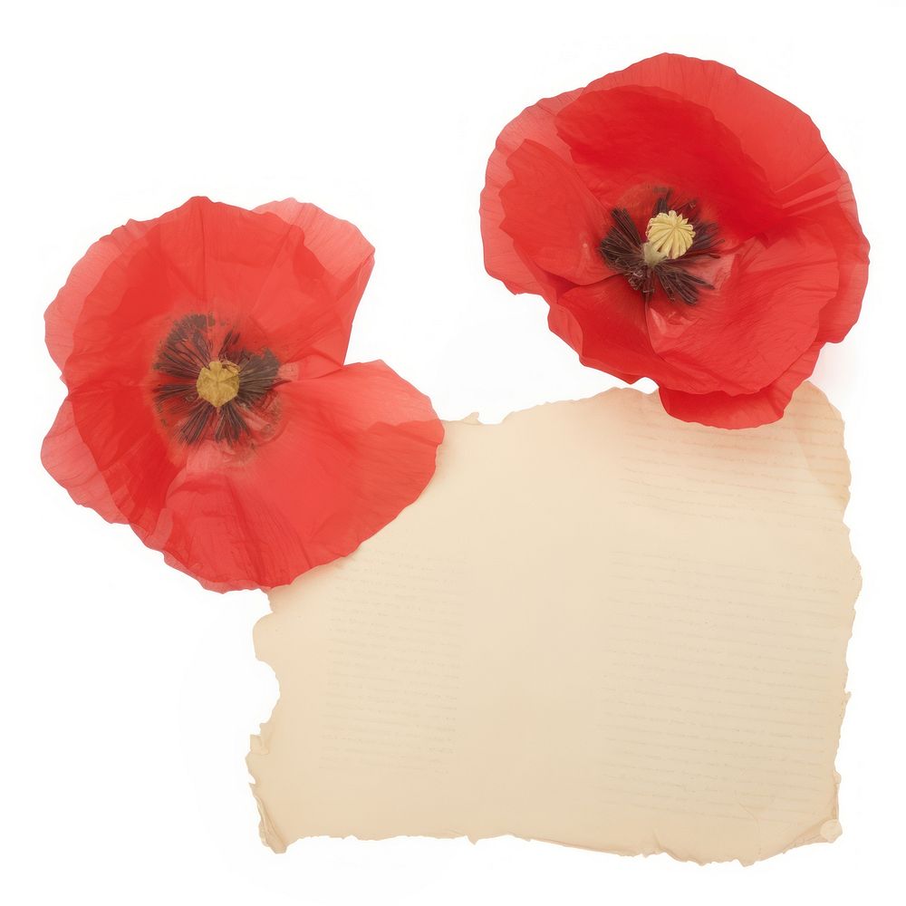 Poppy ripped paper flower petal | Free Photo - rawpixel