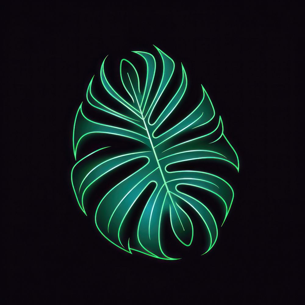 Monstera icon pattern nature light. | Free Photo Illustration - rawpixel