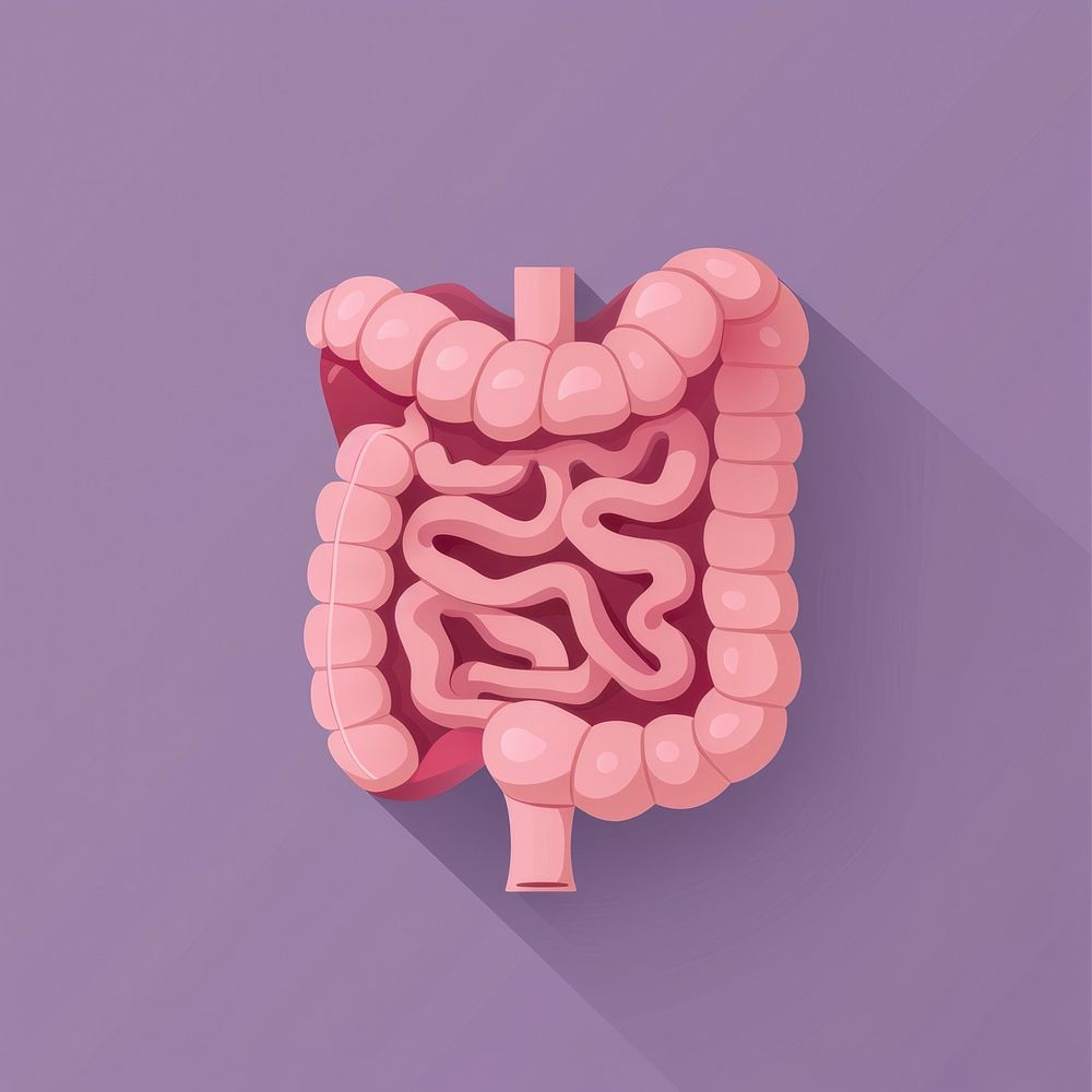 Human medical digestive system dynamite | Free Photo Illustration ...