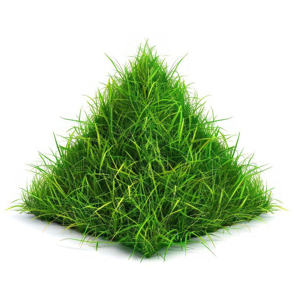 Pyramid shape grass seasoning plant | Free Photo - rawpixel
