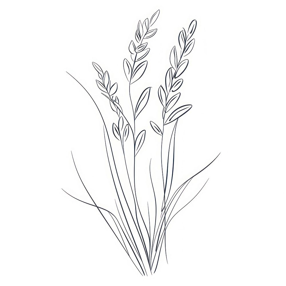 Organic rice doodle illustrated drawing | Premium Photo Illustration ...