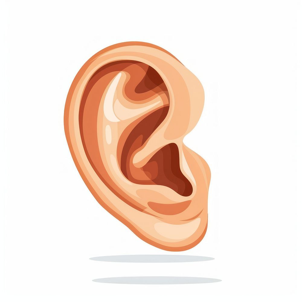Ear disk body part. | Premium Photo Illustration - rawpixel