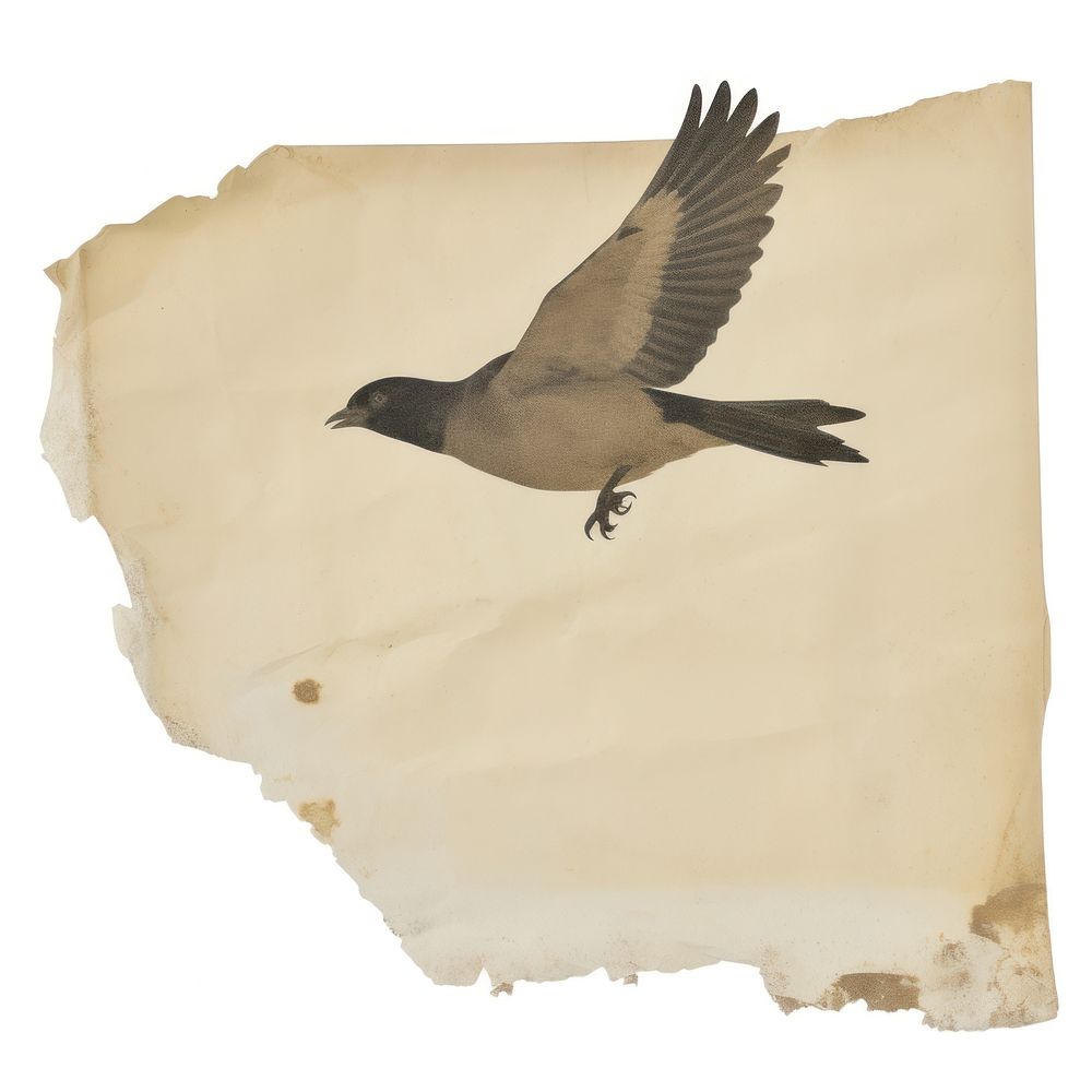 Flying bird ripped paper animal | Free Photo Illustration - rawpixel