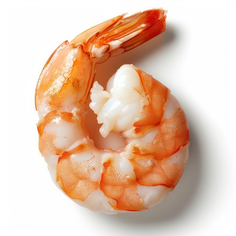 Cooked shrimp invertebrate seafood lobster. | Free Photo - rawpixel