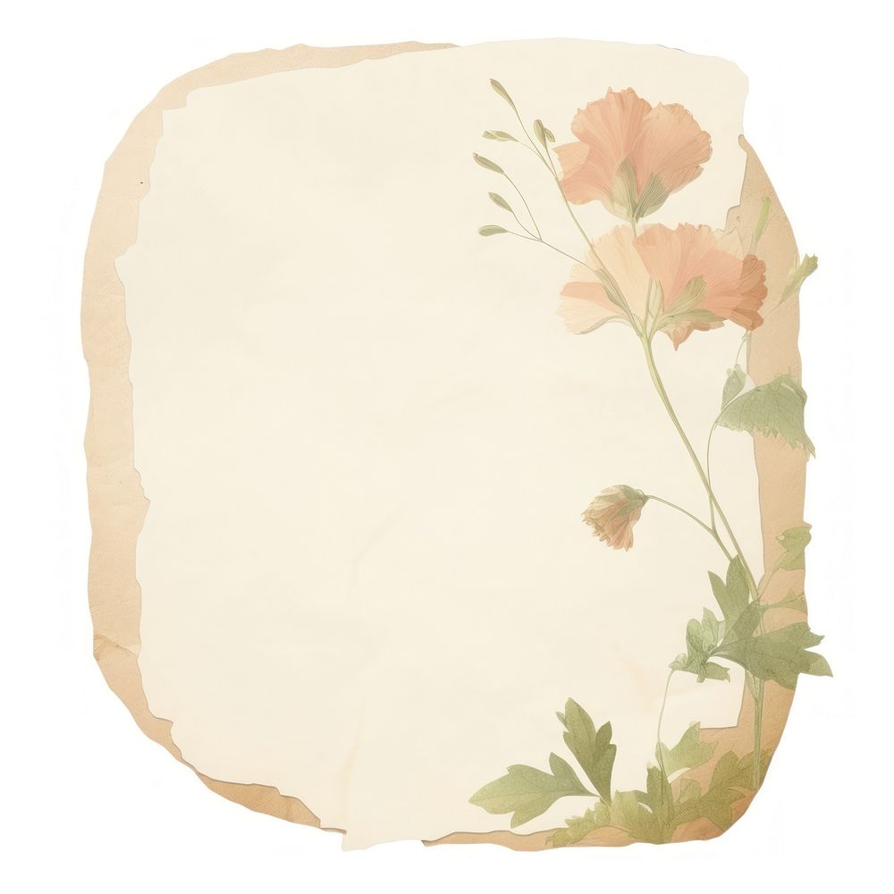 Summer botanical shape ripped paper | Free Photo Illustration - rawpixel