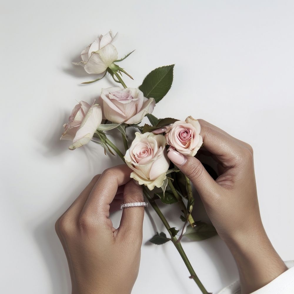 Woman hands holding roses flower | Premium Photo - rawpixel