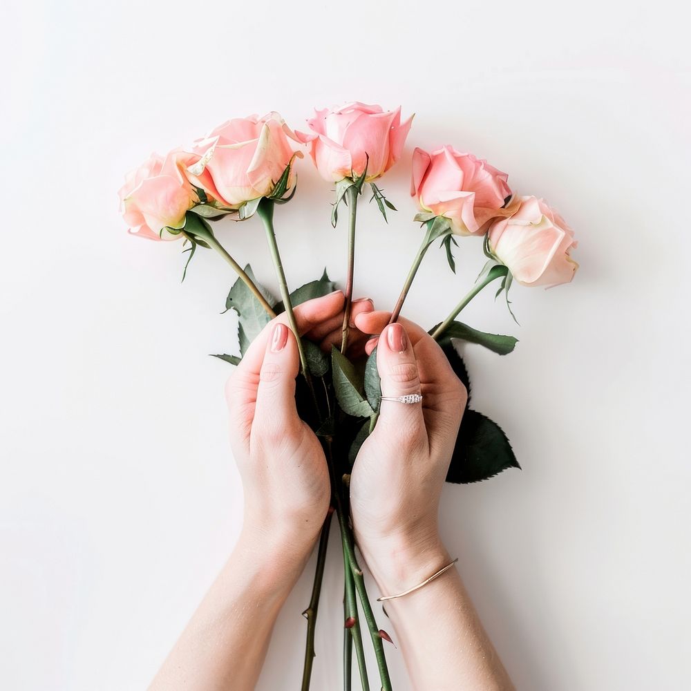 Woman hands holding roses flower | Free Photo - rawpixel