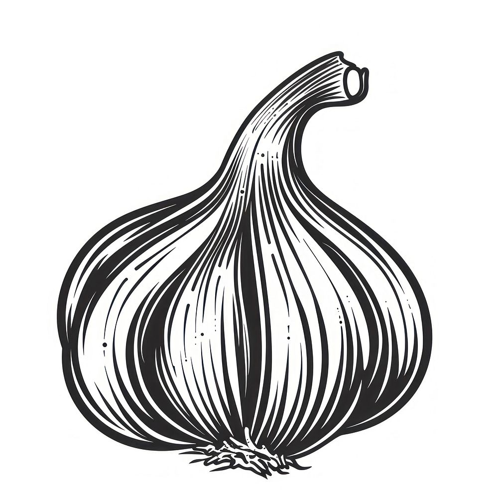 Garlic vegetable food ingredient. | Premium Photo Illustration - rawpixel