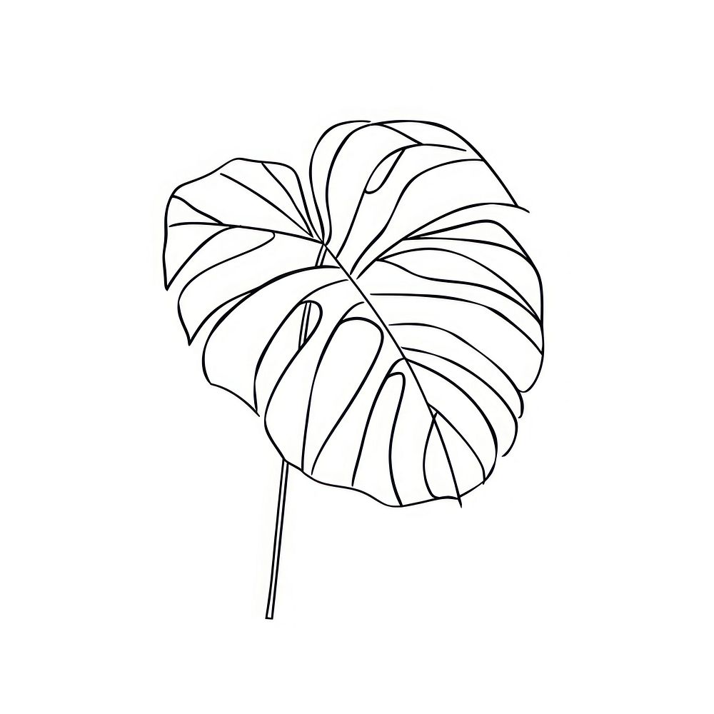 Monstera illustrated pineapple drawing. | Free Photo Illustration ...